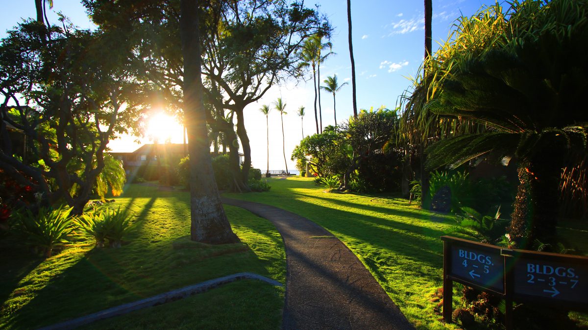 Maui Sands Condos - Ocean Front Condos in West Maui